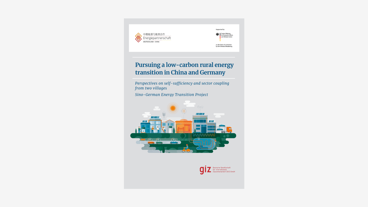 Pursuing a Low-Carbon Rural Energy Transition in China and Germany ...
